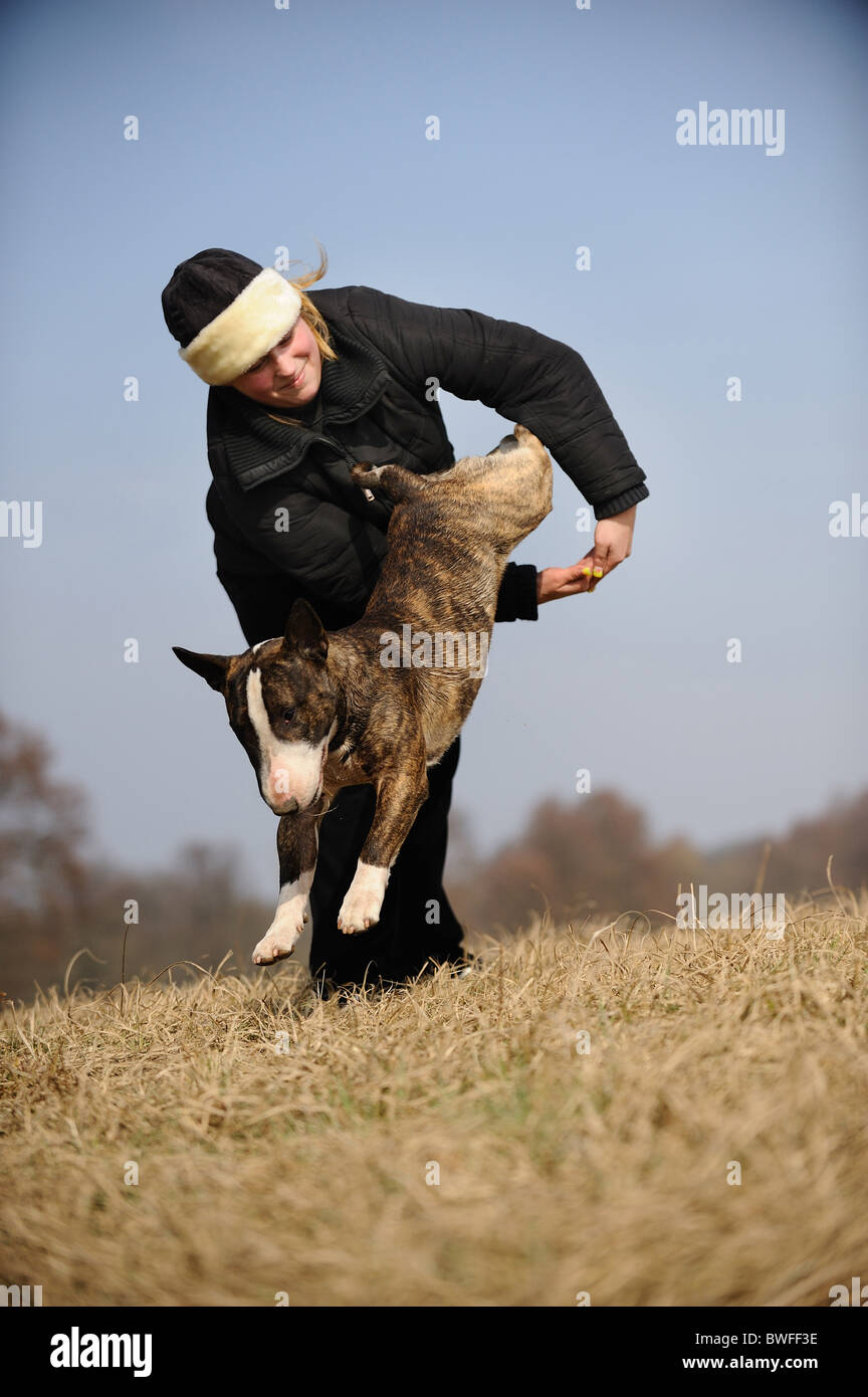 Bull dogs dancing hi-res stock photography and images - Alamy