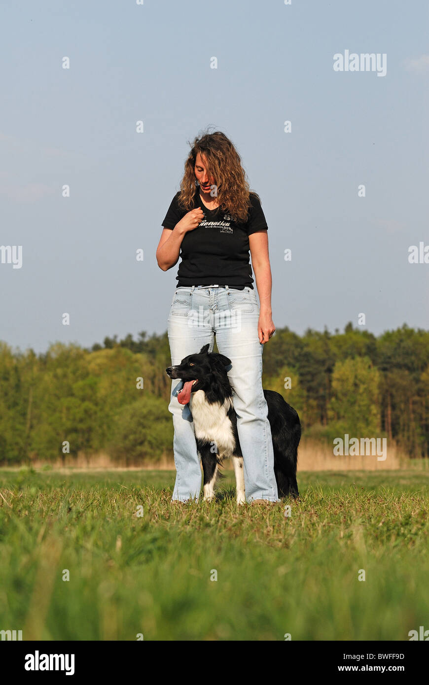 Border Collie shows dog dance Stock Photo - Alamy