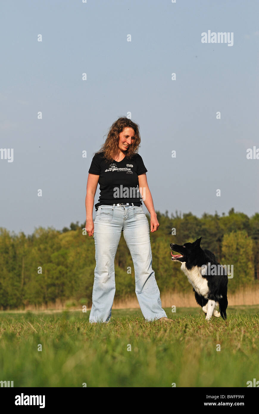 Border Collie shows dog dance Stock Photo - Alamy