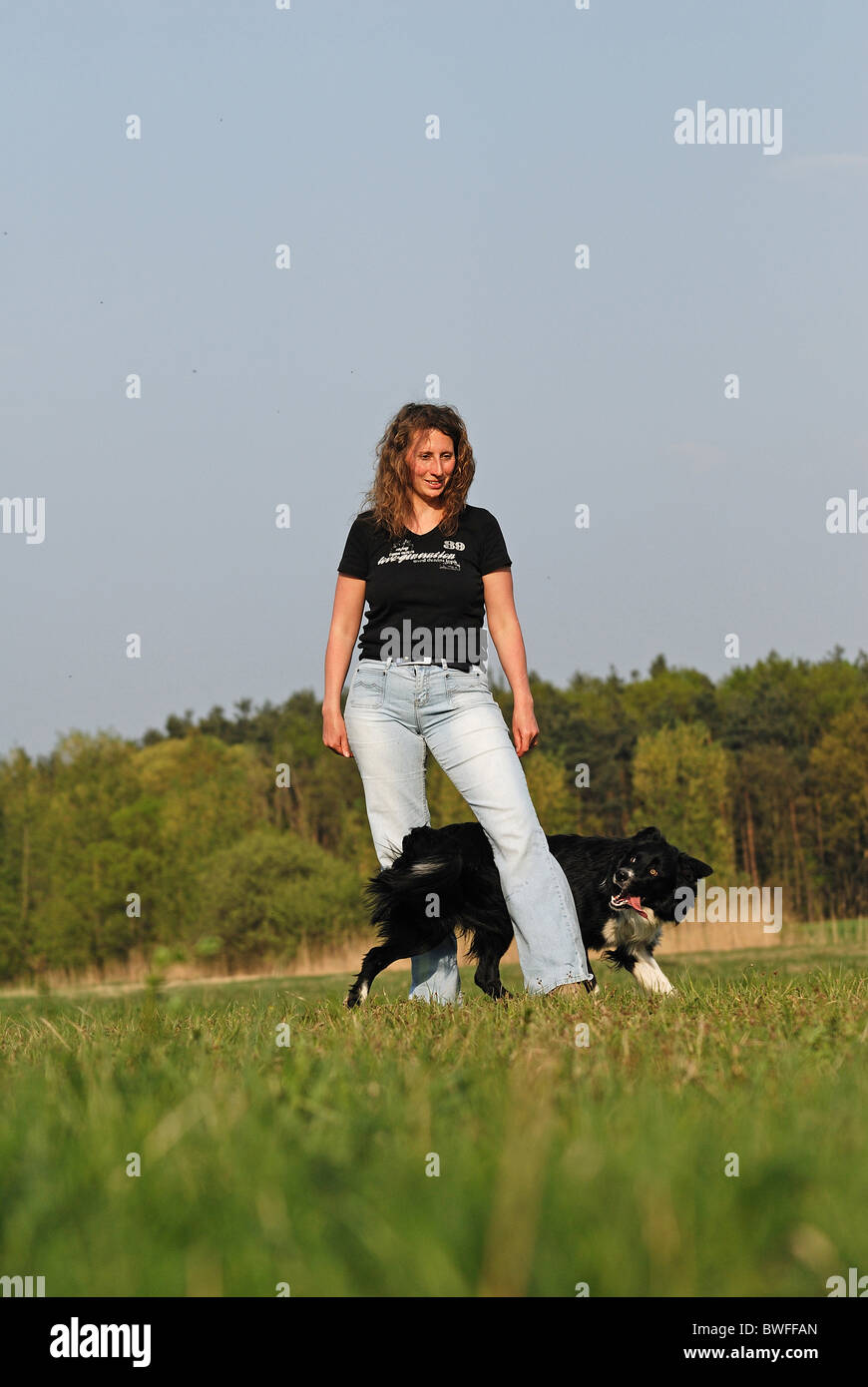 Border Collie shows dog dance Stock Photo - Alamy
