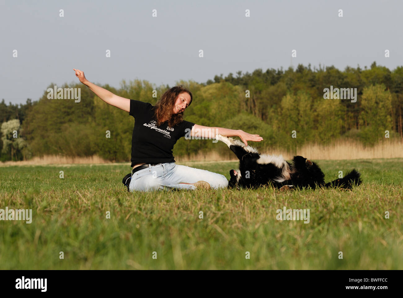 Border Collie shows dog dance Stock Photo - Alamy