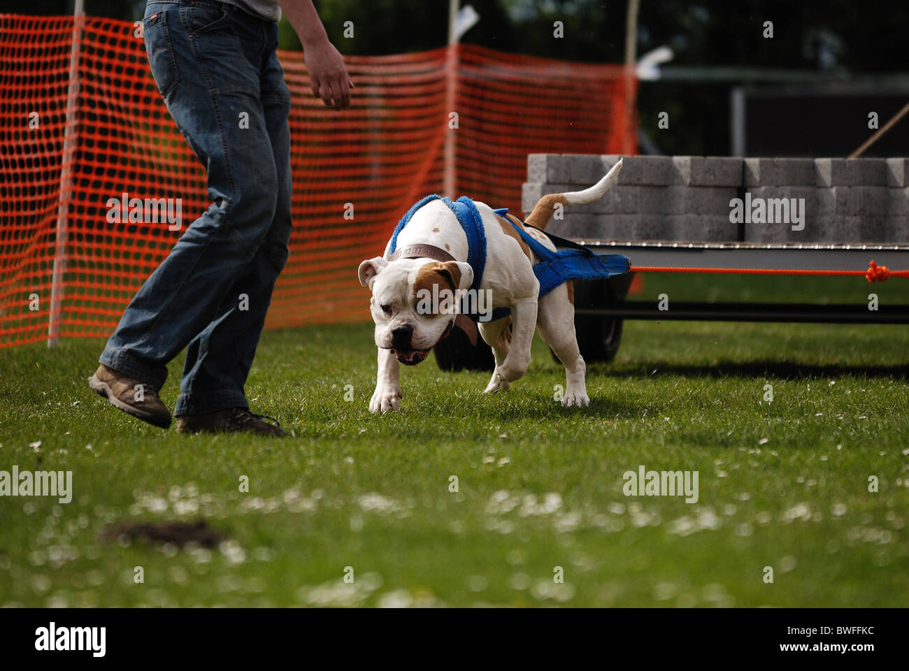 Human pulls a train hi-res stock photography and images - Alamy