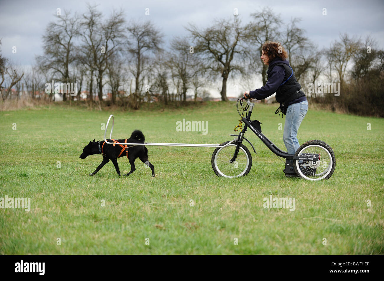 Side view of trike hi-res stock photography and images - Alamy