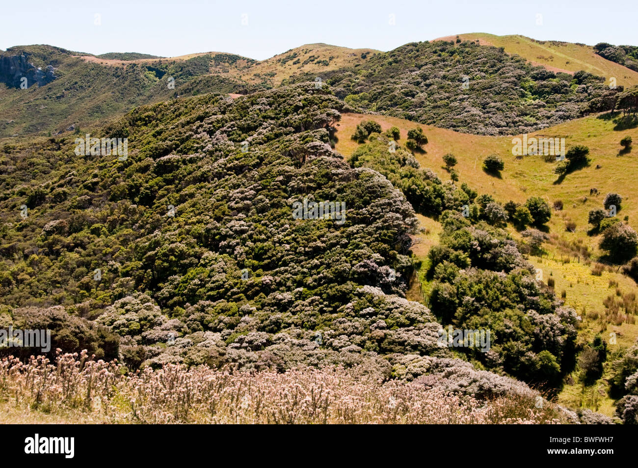 Farewell Spit,Golden Bay,Farewell Spit Nature Reserve,Kahurangi ...