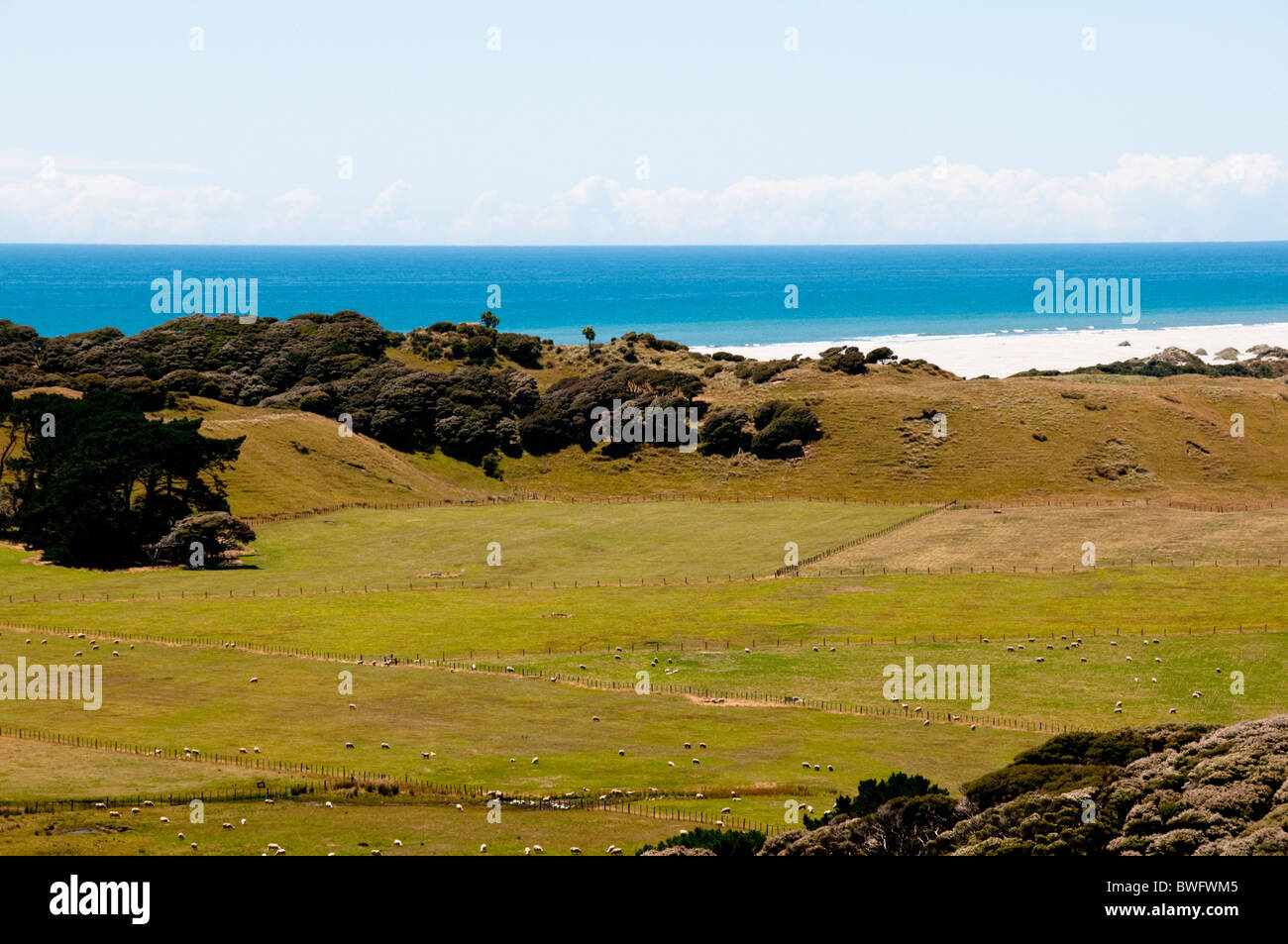Farewell Spit,Golden Bay,Farewell Spit Nature Reserve,Kahurangi ...