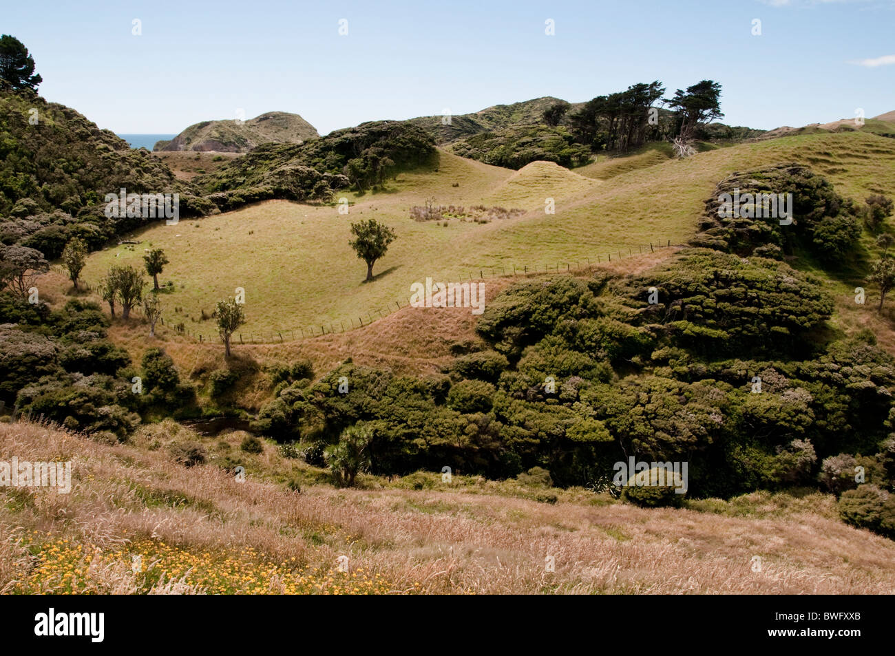 Farewell Spit,Golden Bay,Farewell Spit Nature Reserve,Kahurangi ...