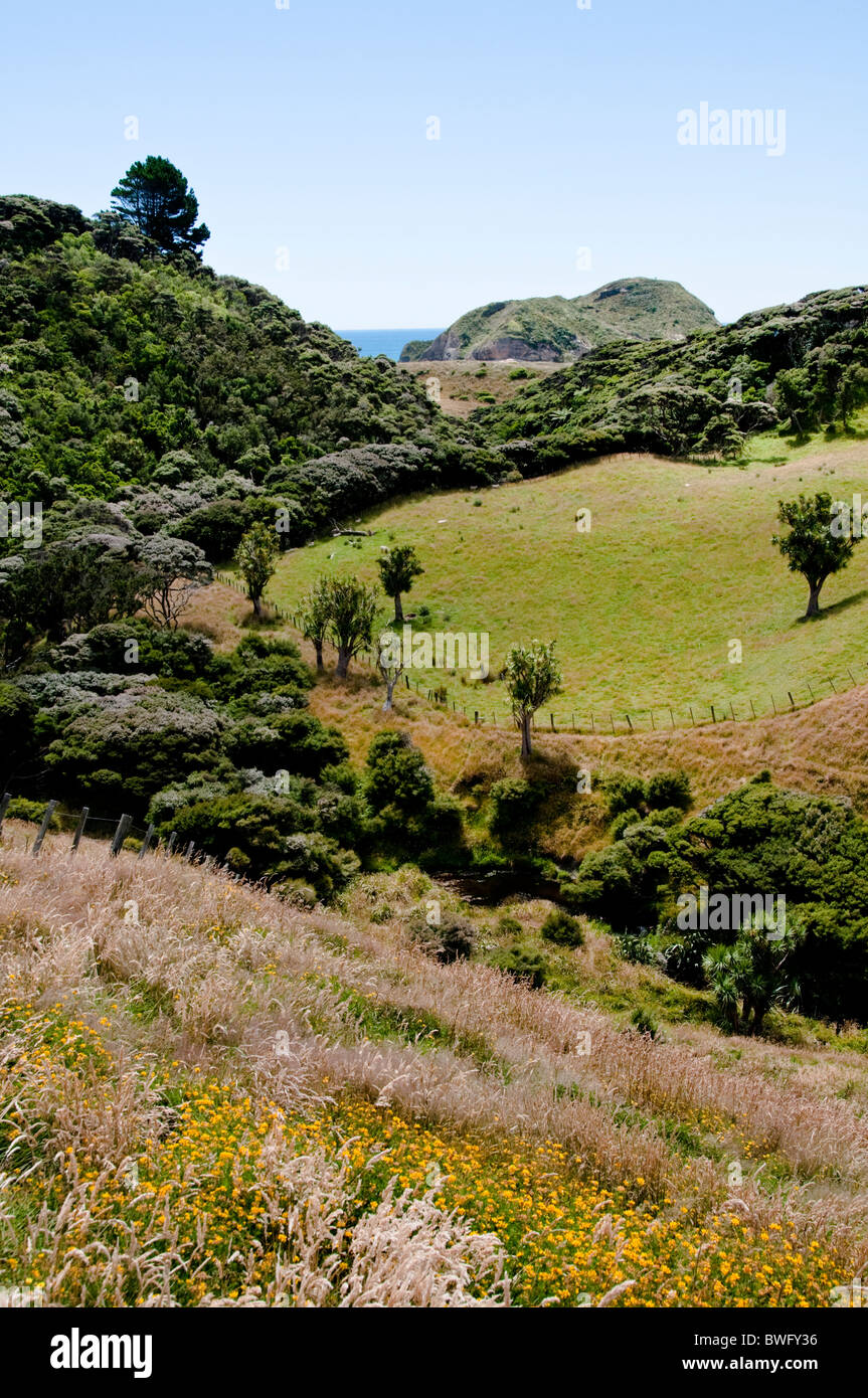 Farewell Spit,Golden Bay,Farewell Spit Nature Reserve,Kahurangi ...