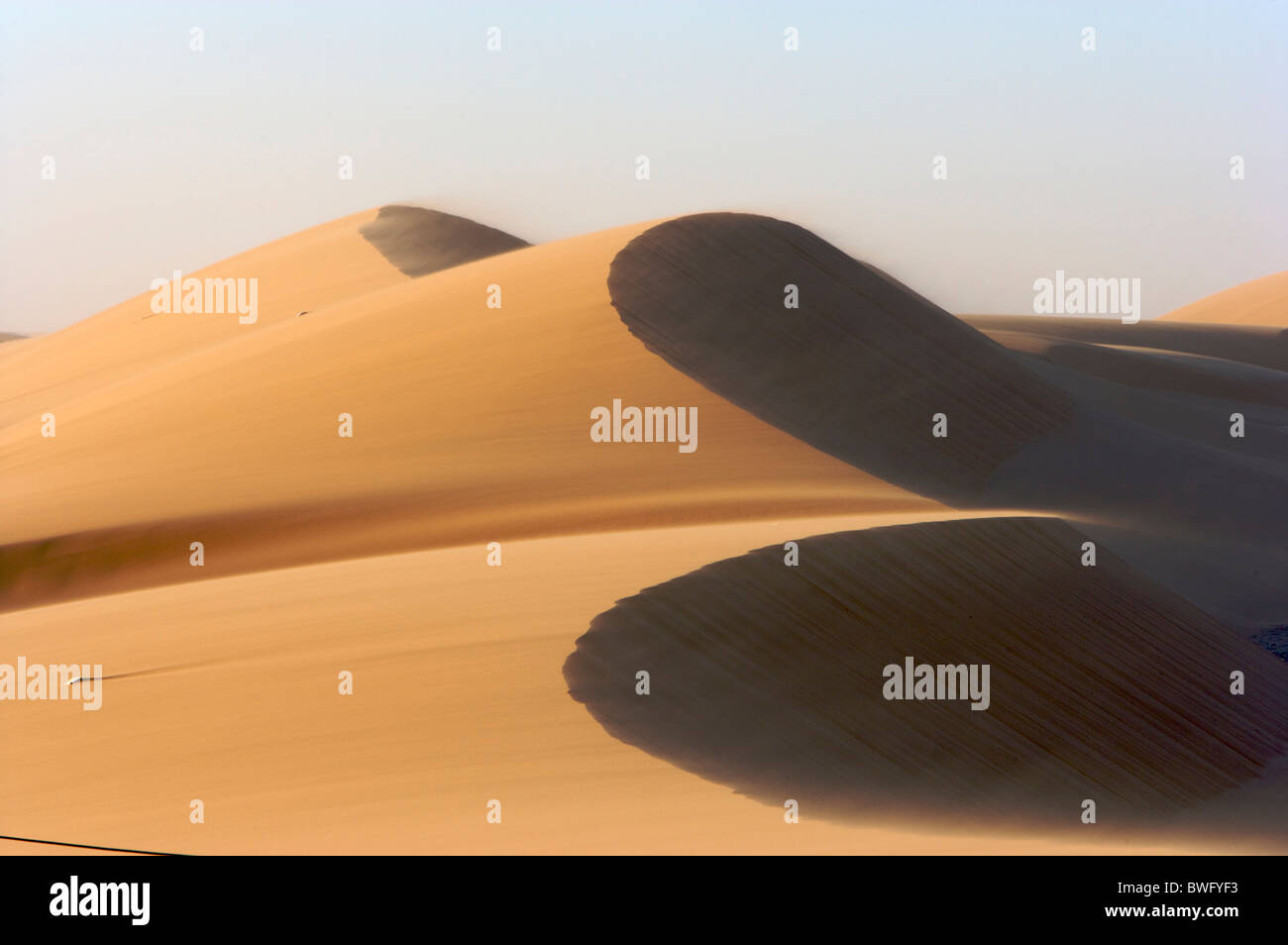 Windswept sand dunes of Namib desert, Namibia Stock Photo - Alamy