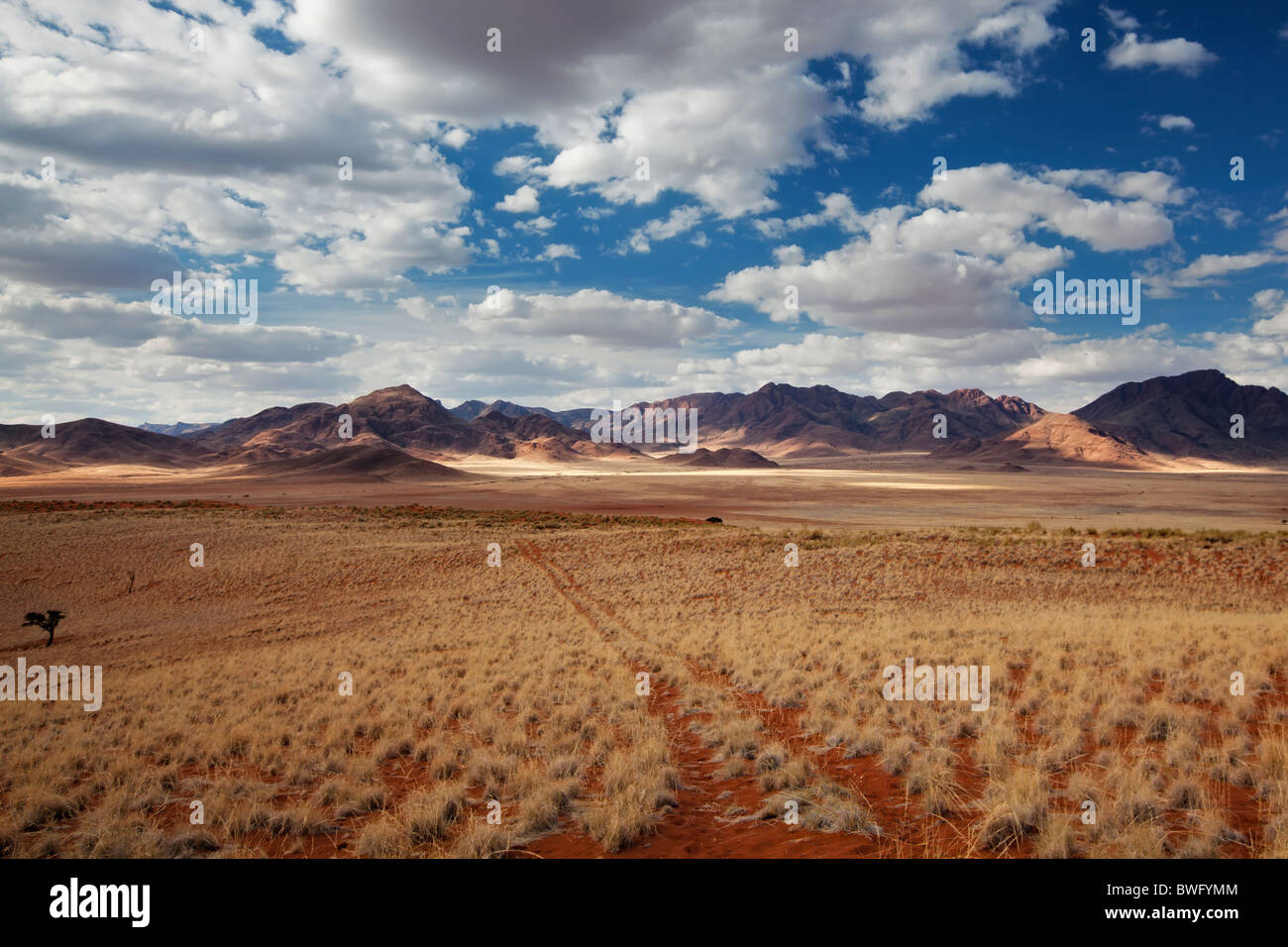 Grassland hi-res stock photography and images - Alamy