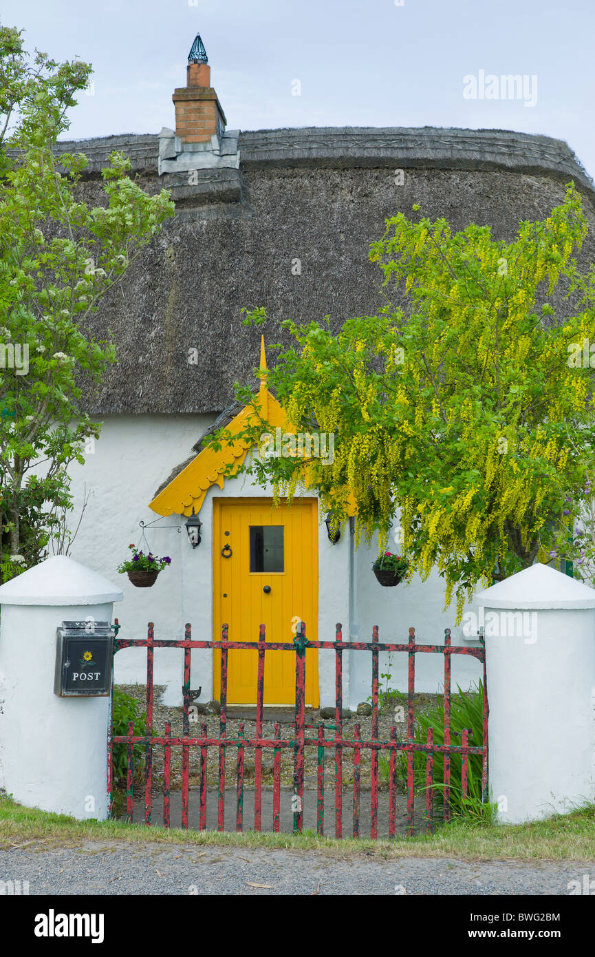Brightly coloured traditional thatched cottage of lime mortar and ...