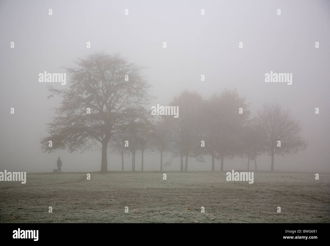 Foggy Clapham Common Trees Stock Photo - Alamy