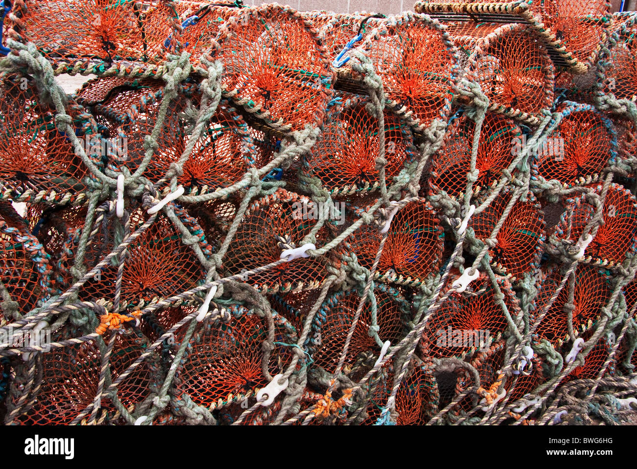 Orange netting lobster pots Stock Photo - Alamy