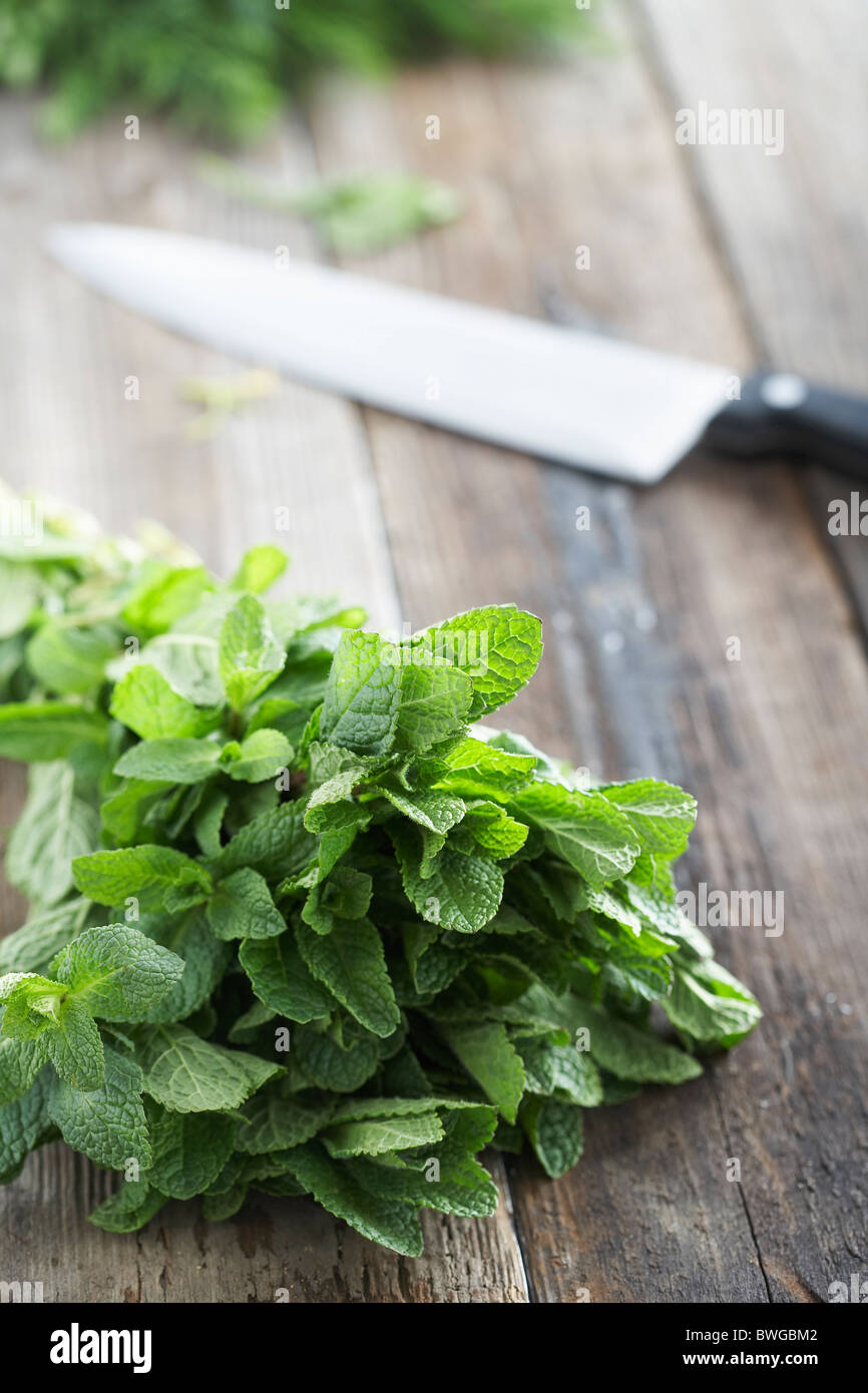 Rough mint hi-res stock photography and images - Alamy
