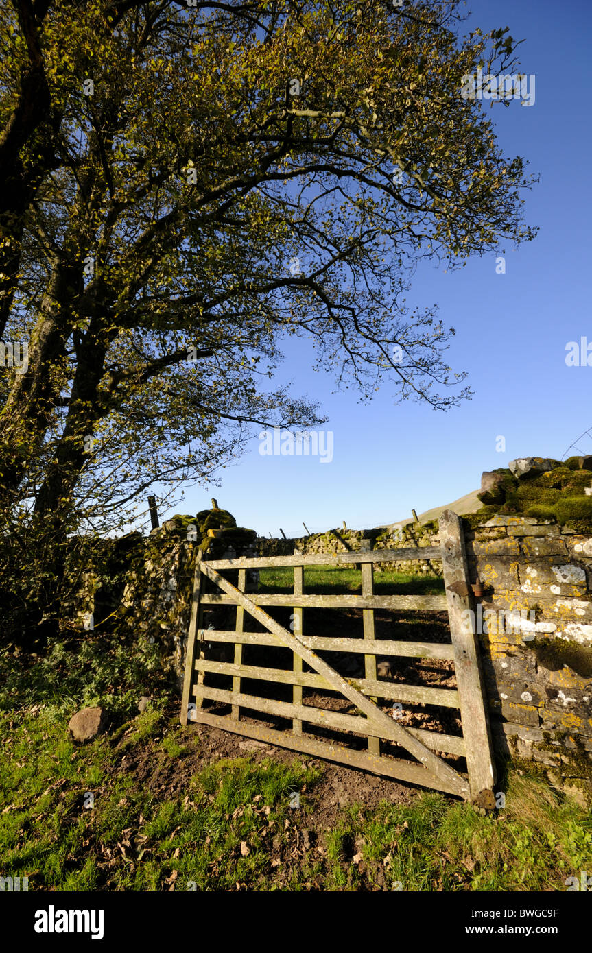 Wooden Gate in the Yorkshire Dales Stock Photo - Alamy