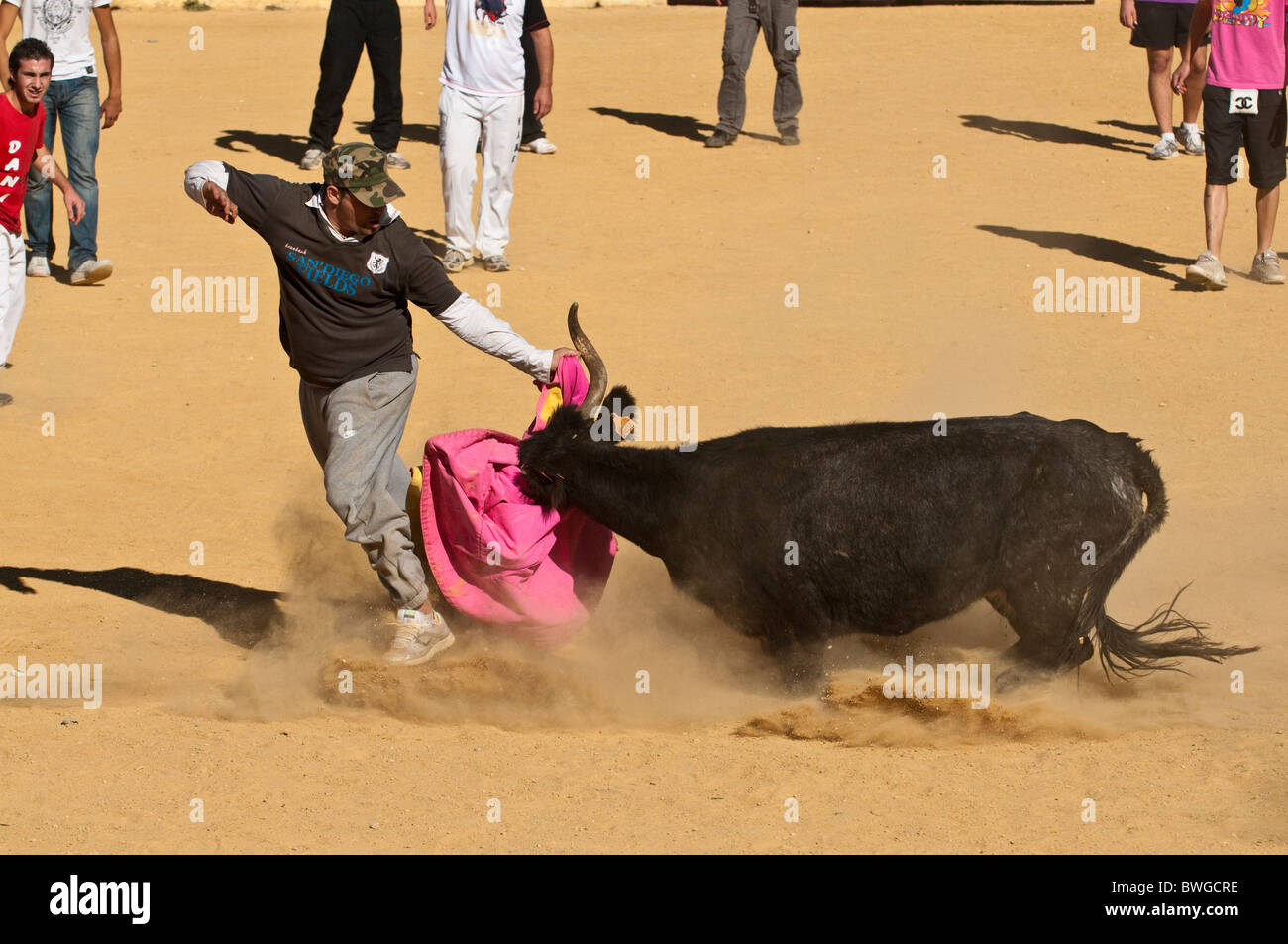 During fiestas in Benidorm the general public can get in the bullring ...
