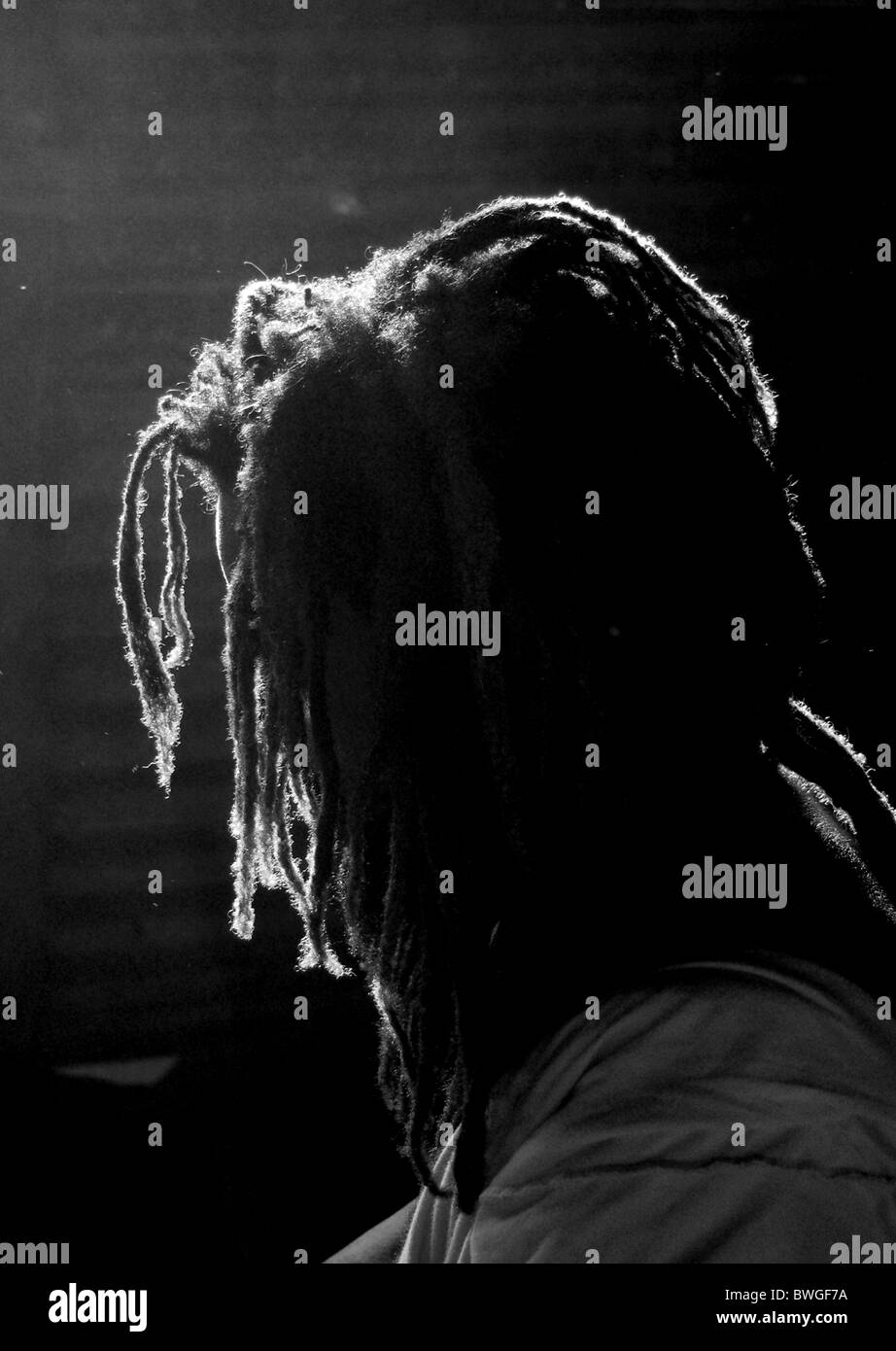 Rastafari ganja lion hi-res stock photography and images - Alamy