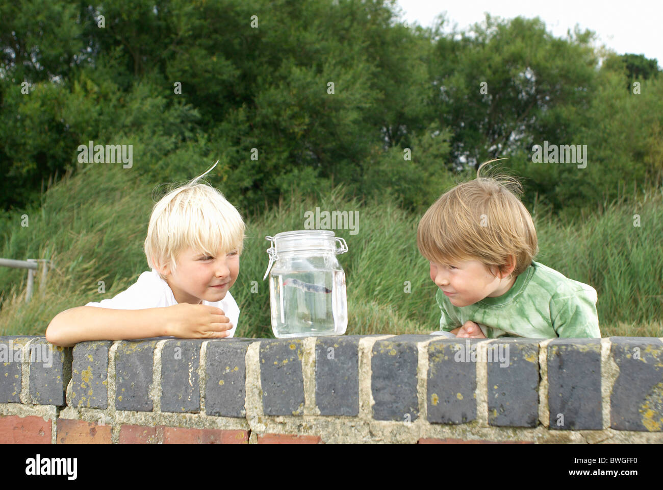 Two young boys looking at fish in a jar Stock Photo - Alamy