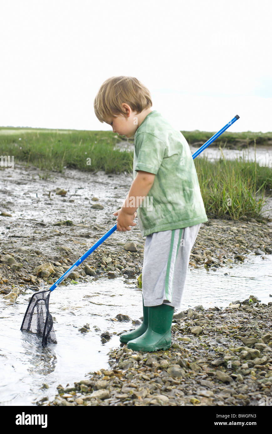 Young boy fishing with net Stock Photo - Alamy
