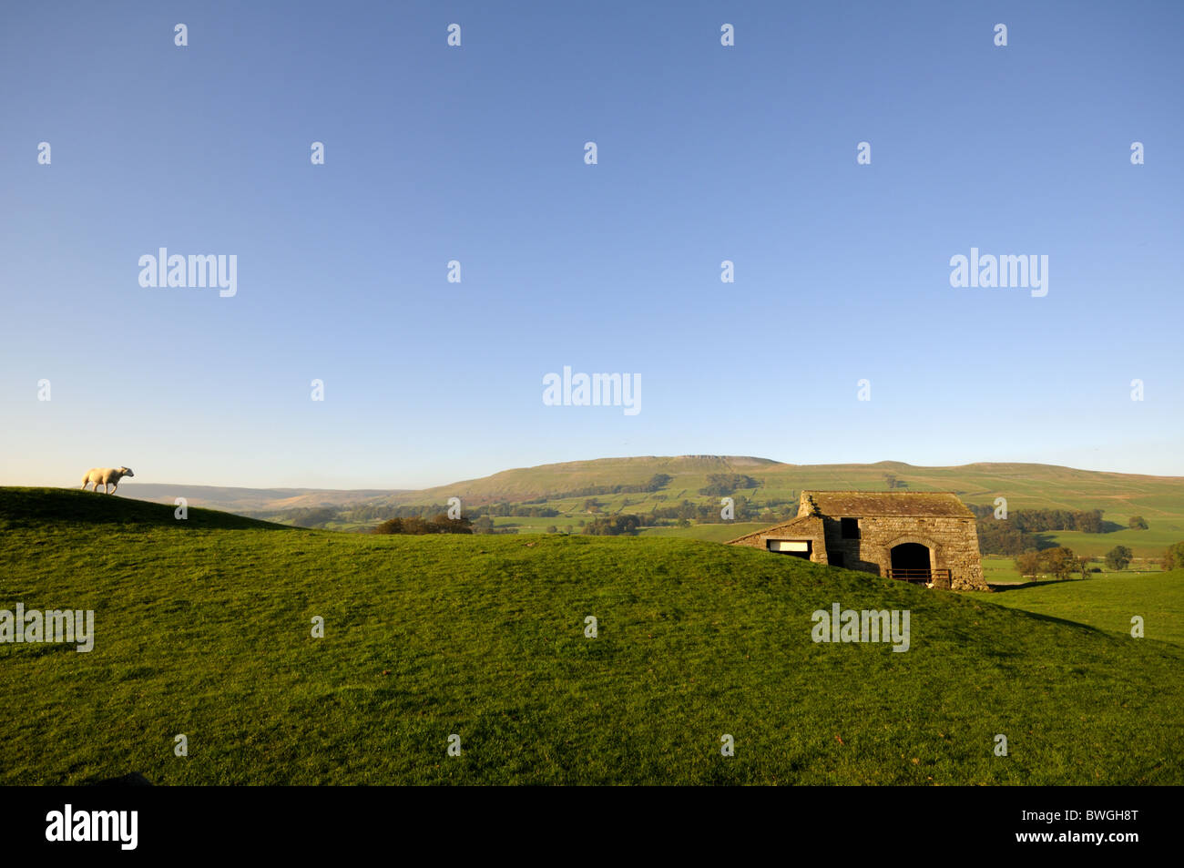Stone Barn in Yorkshire Dales National Park near Hawes Stock Photo - Alamy