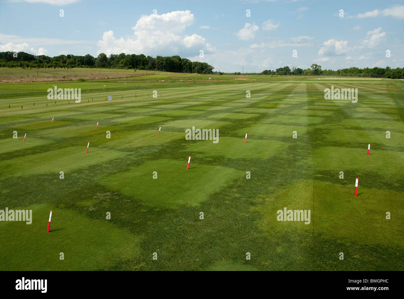 Turfgrass test plots Stock Photo - Alamy