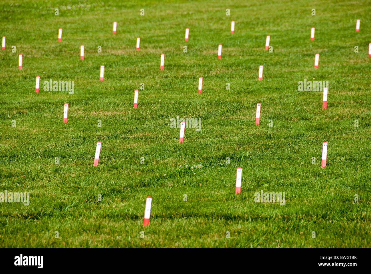 Turfgrass test plots Stock Photo - Alamy