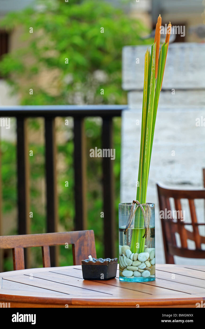 Reeds in glass Stock Photo - Alamy