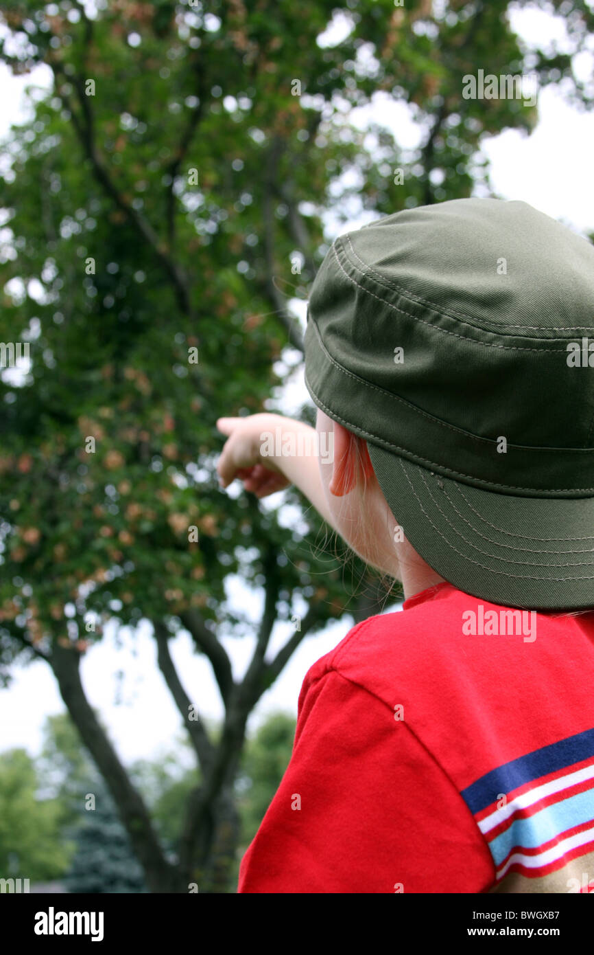 A young boy pointing up in the tree Stock Photo - Alamy