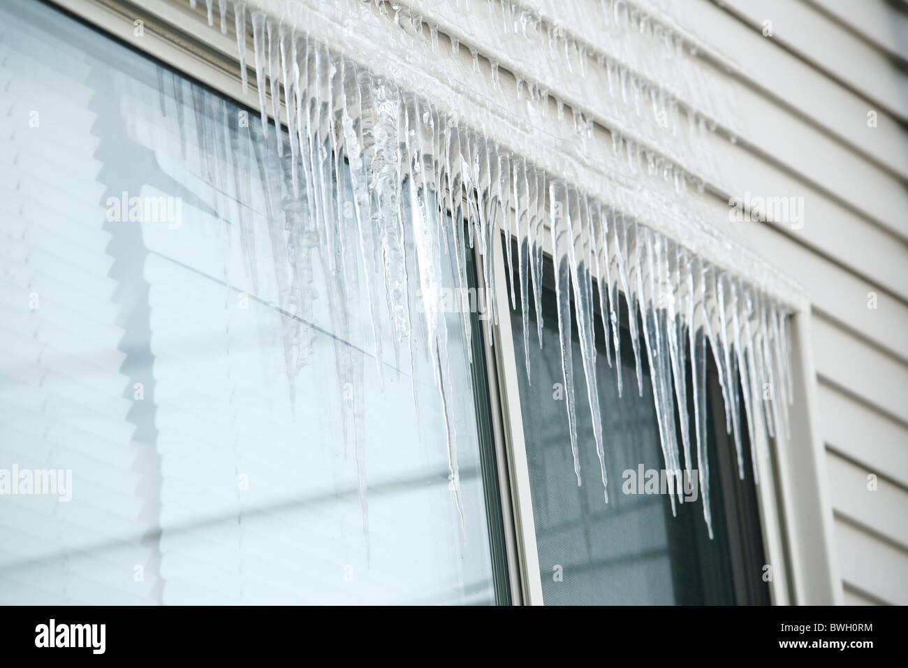 ice and icicles on window and the siding of a house Stock Photo - Alamy