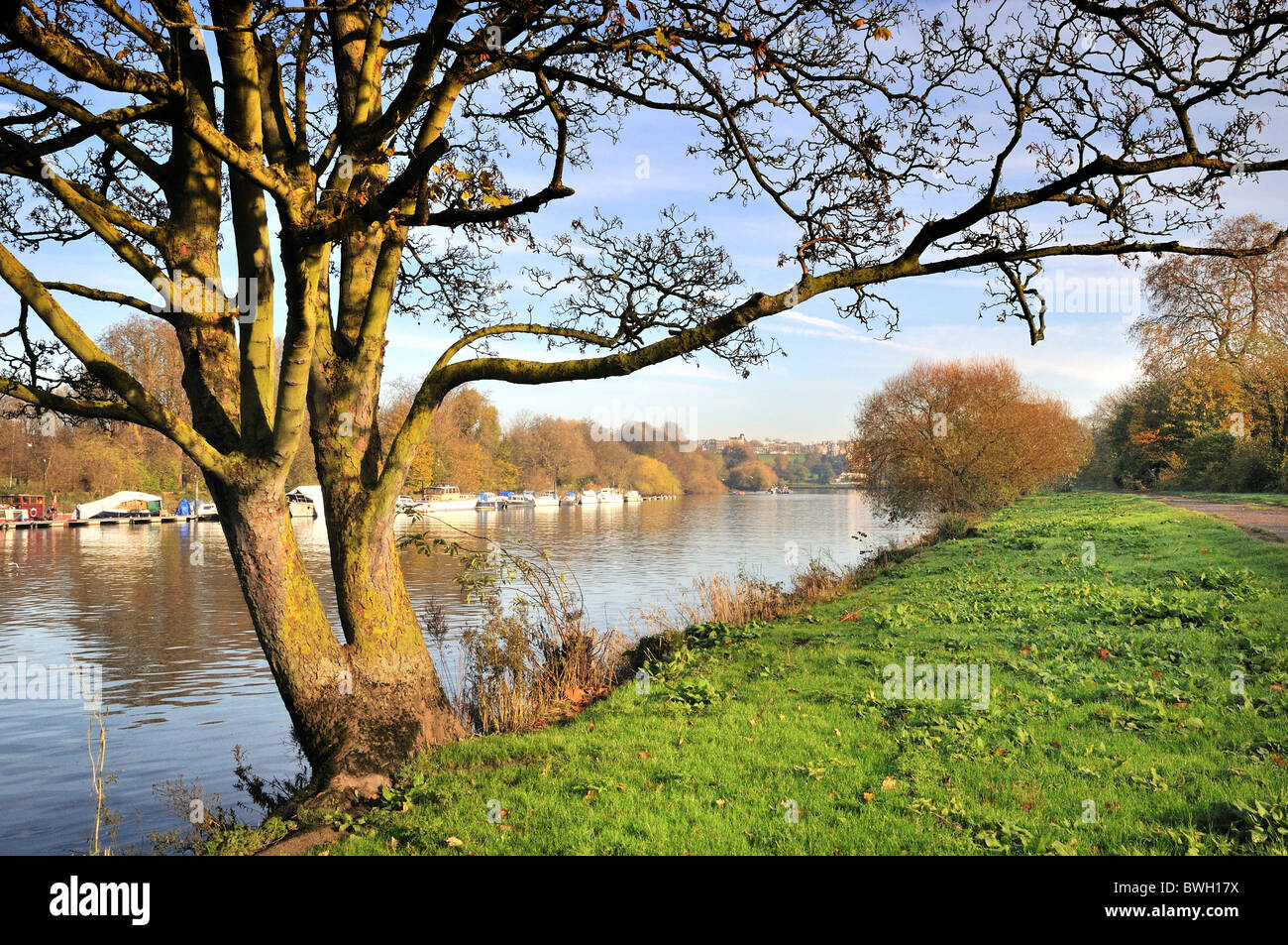 River Thames near Ham , West London Stock Photo - Alamy