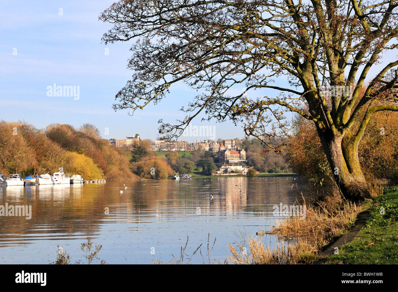Thames colors hi-res stock photography and images - Alamy