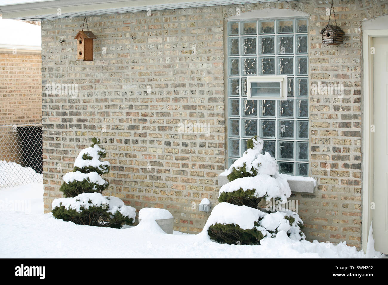 snow in yard with small bushes and brick wall Stock Photo - Alamy