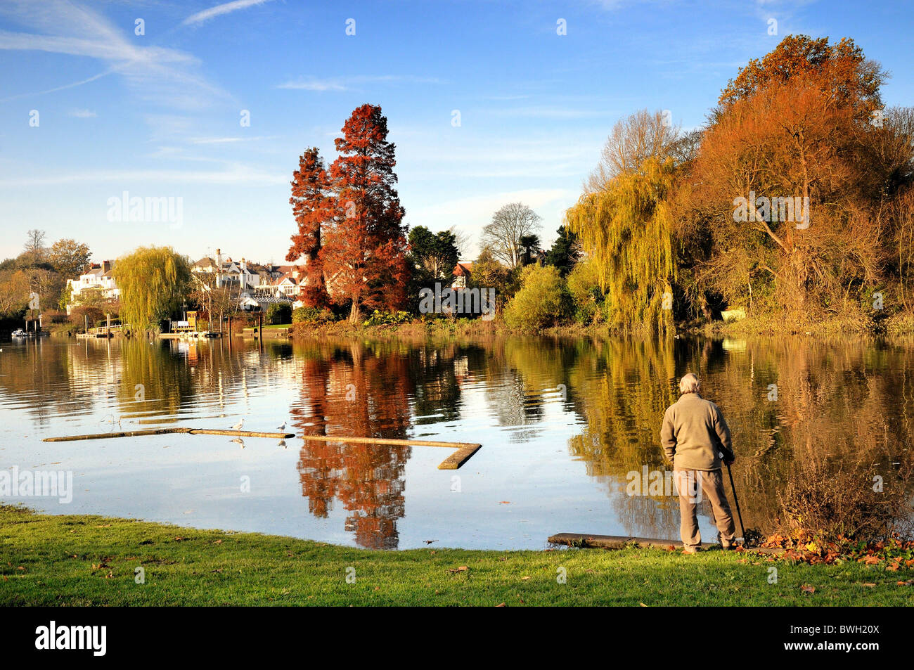 River Thames near Ham , West London Stock Photo - Alamy