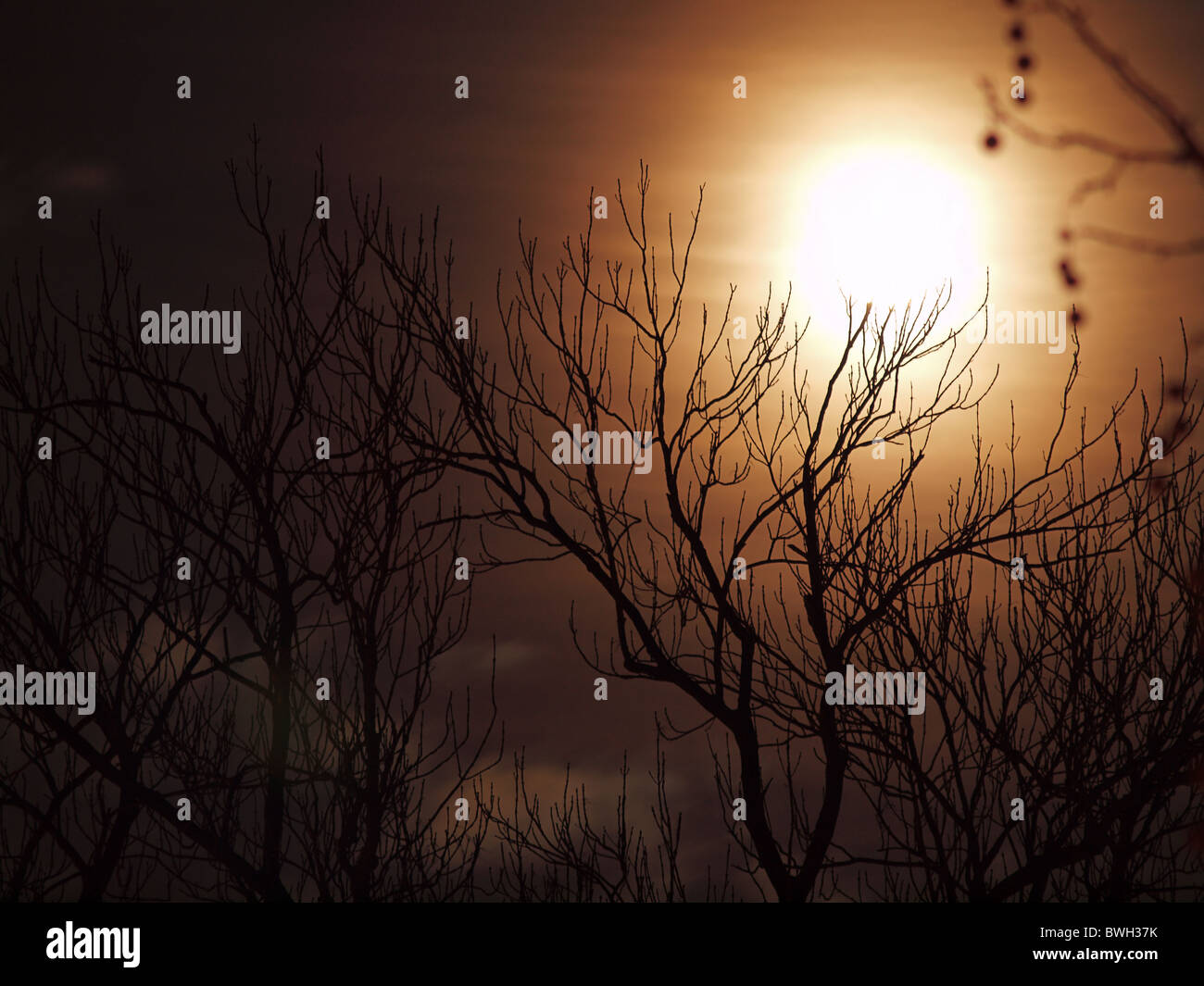 Moon at its full hi-res stock photography and images - Alamy