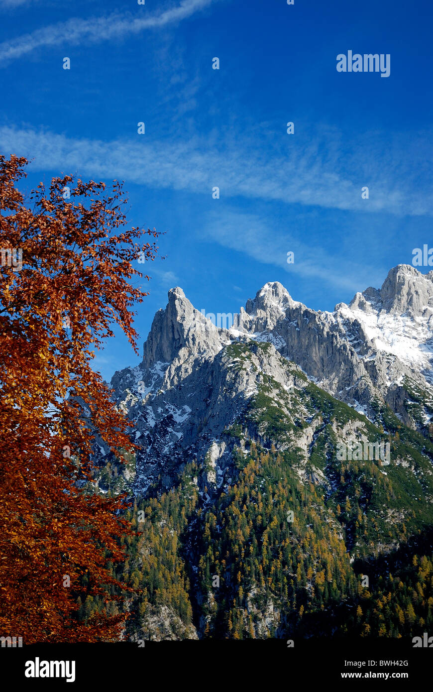 Mittenwald bavaria germany hi-res stock photography and images - Alamy
