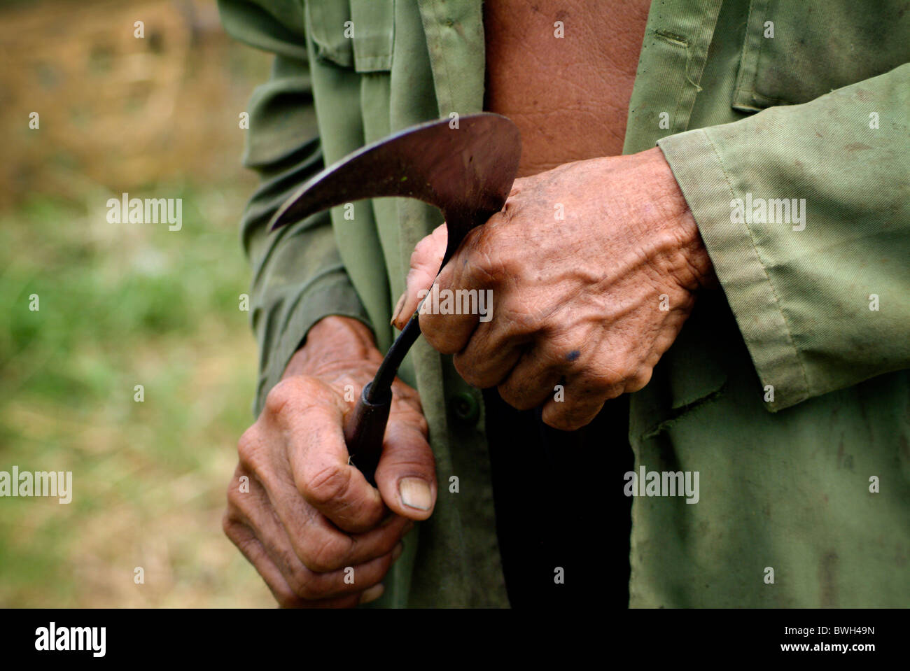 Sickle harvesting hi-res stock photography and images - Alamy