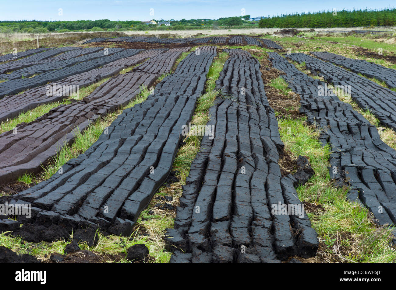 Peat bogs hi-res stock photography and images - Alamy