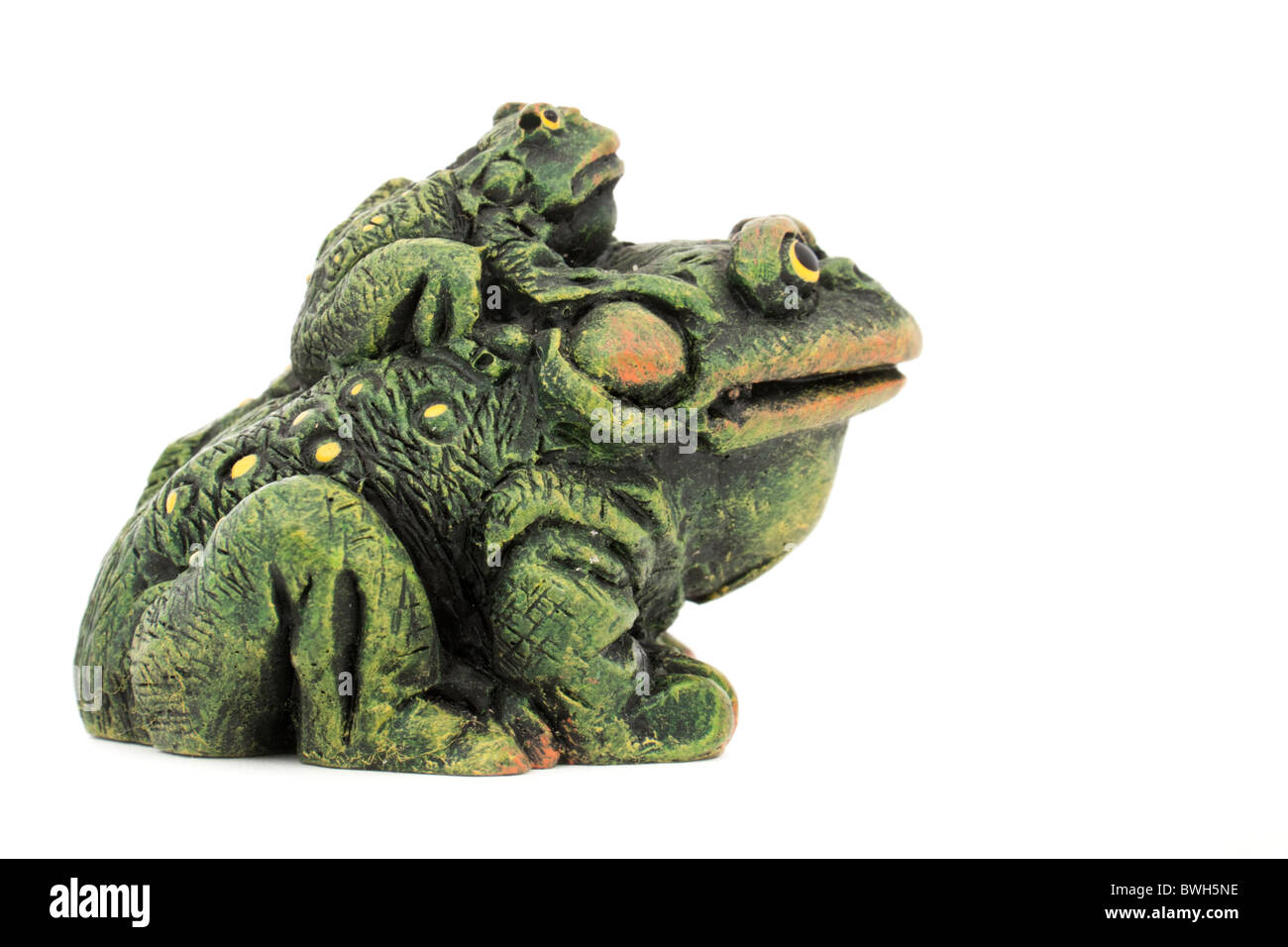 Baby Toad High Resolution Stock Photography and Images - Alamy