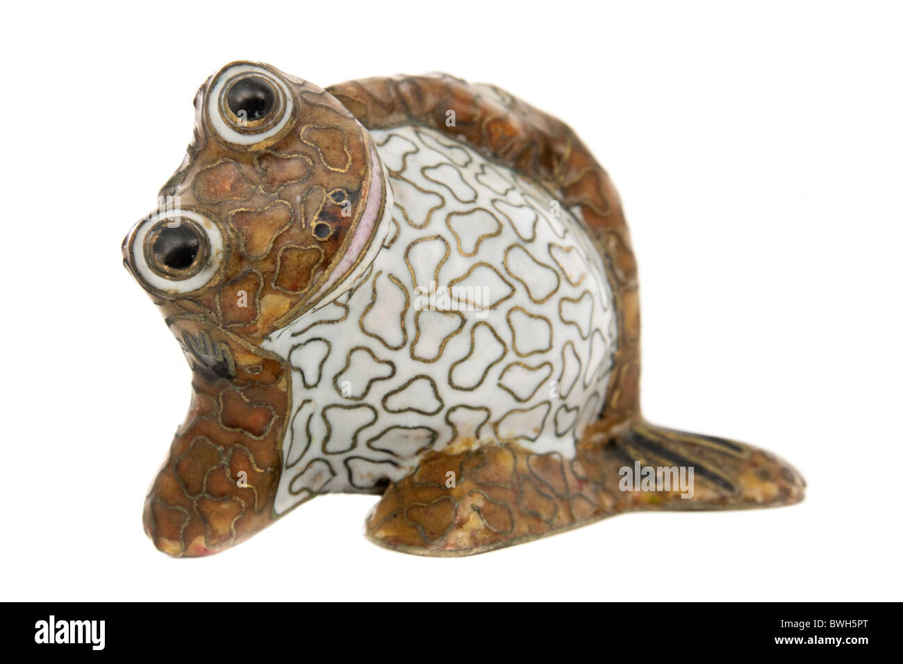 English frog Cut Out Stock Images & Pictures - Alamy