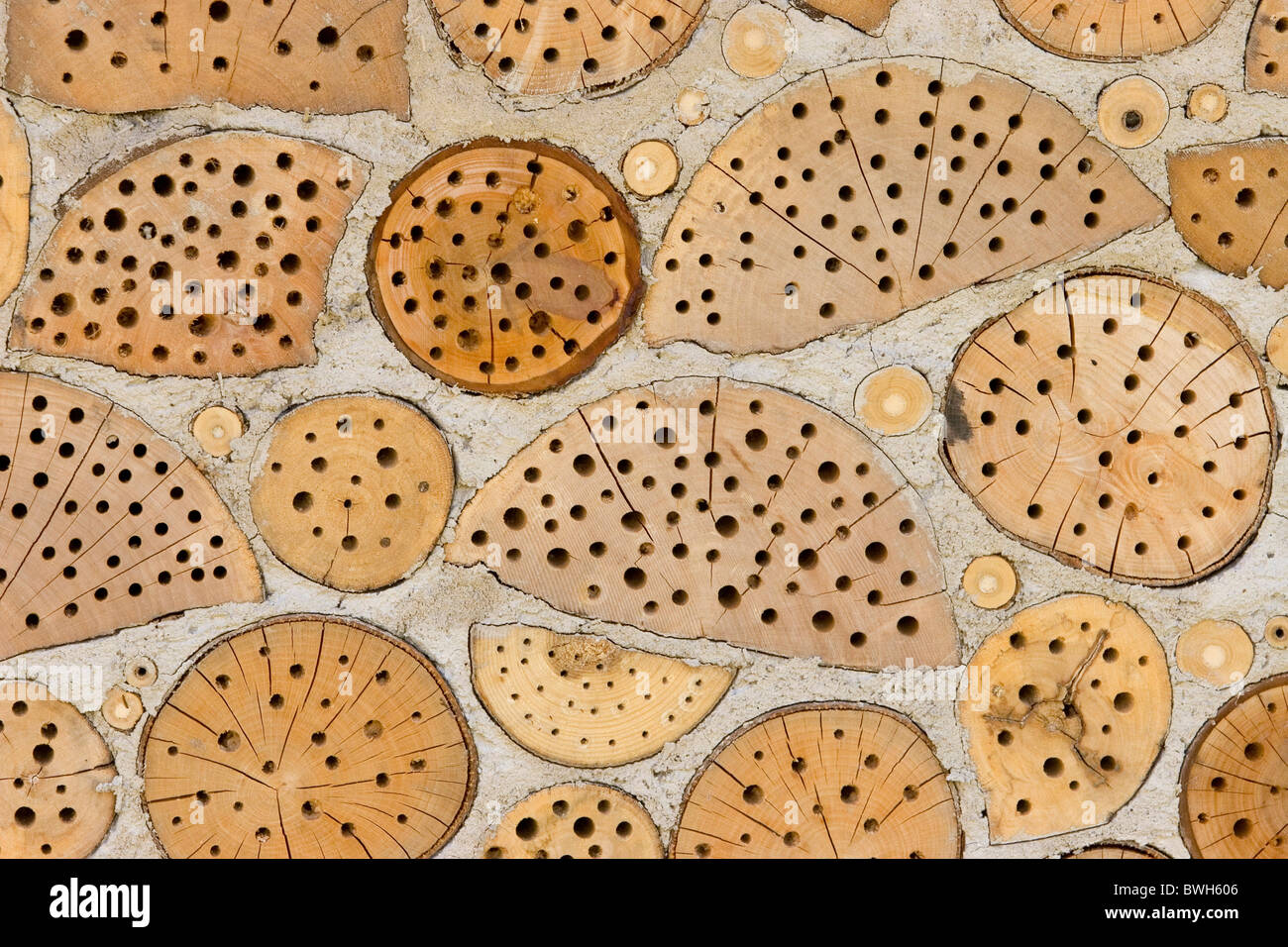 bee nesting place Stock Photo - Alamy