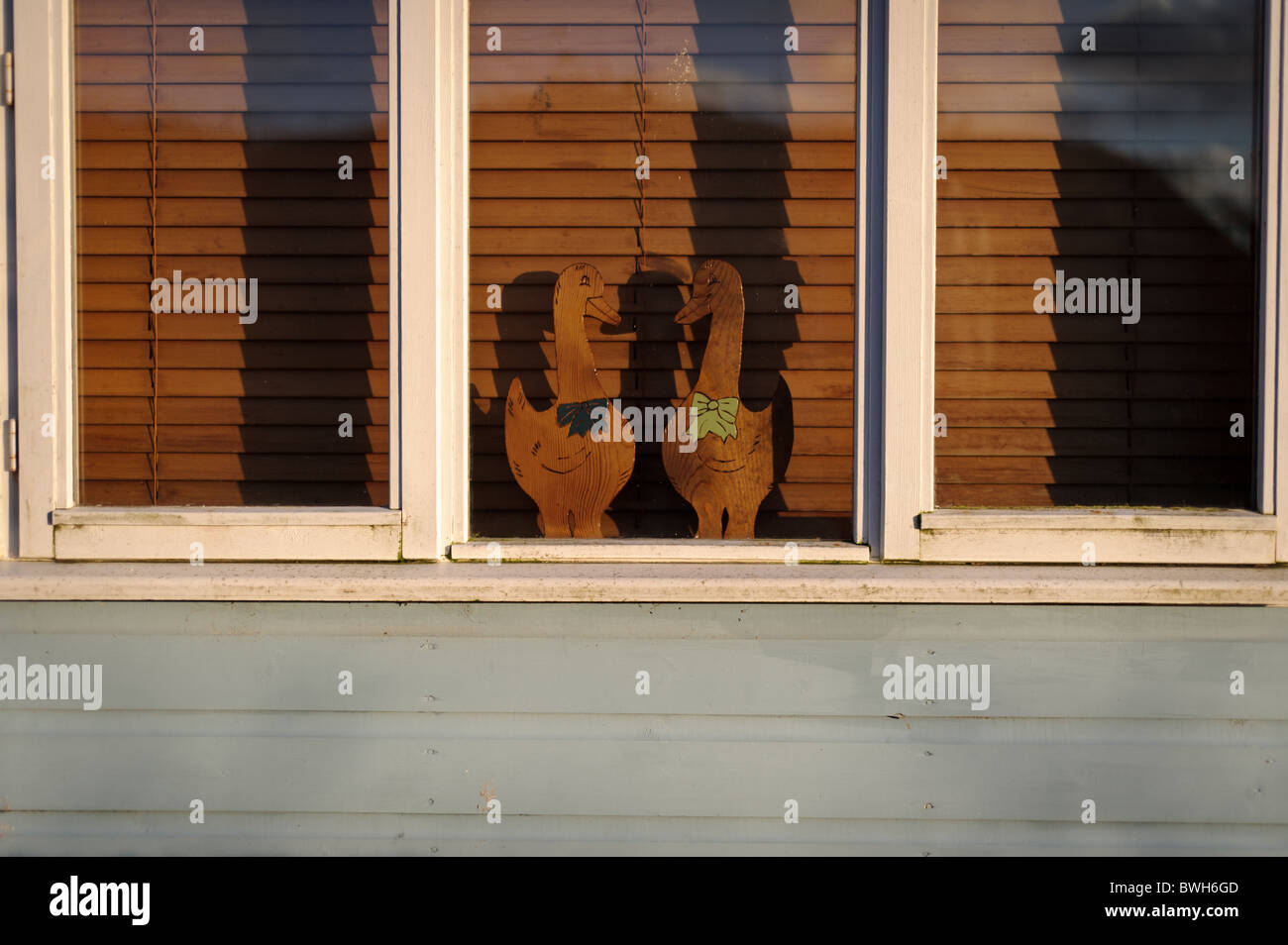 Two wooden ducks in the window of a beach chalet at Hayle towans ...