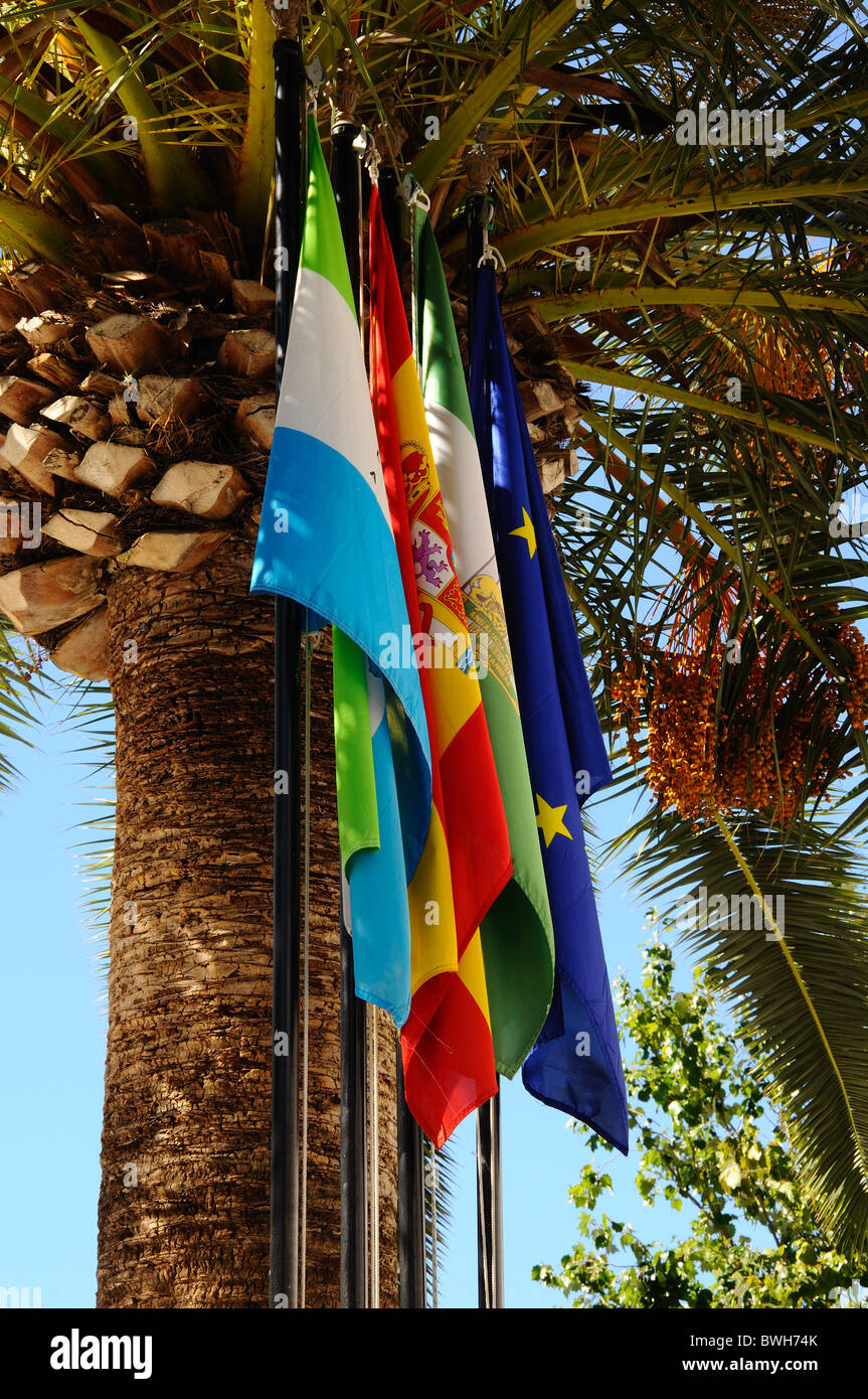 Flags and palm tree, Mijas, Costa del Sol, Malaga Province, Andalucia ...