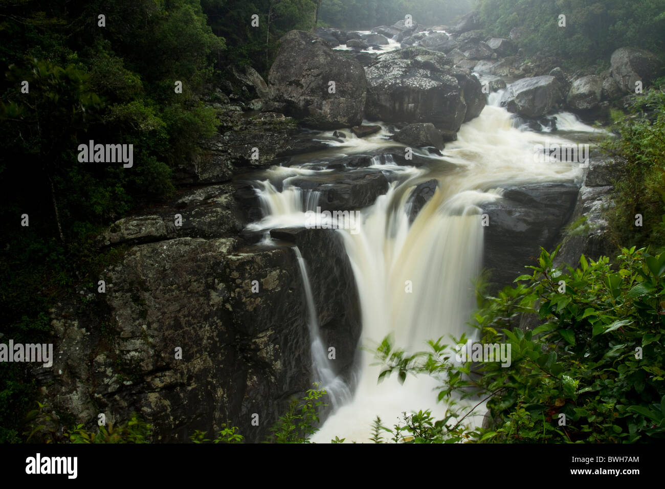Waterfall - Ranomafana NP, Madagascar Stock Photo - Alamy