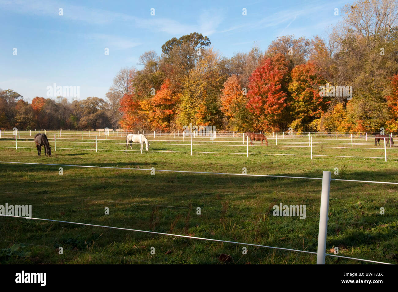 Fall farm terrain hi-res stock photography and images - Alamy