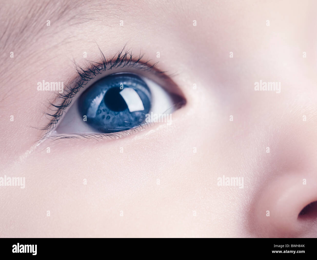 The Boy With The Sapphire Eyes