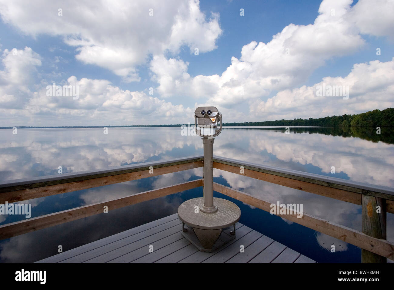 Lake Drummand observation platform, Great Dismal Swamp, Virginia, USA ...