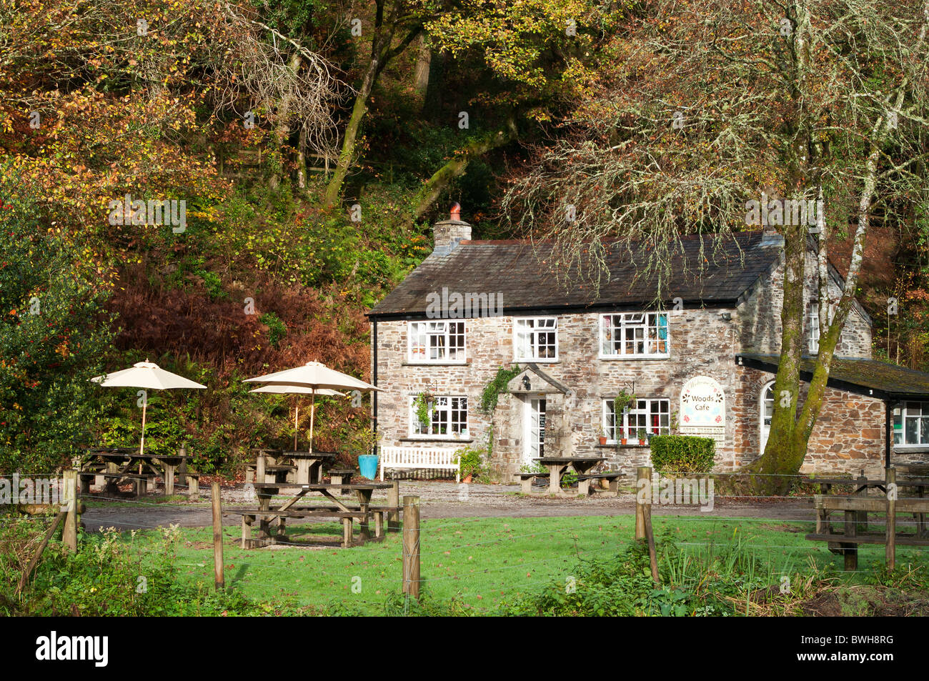 A cottage cafe in Cardinham woods near Bodmin in Cornwall, UK Stock ...