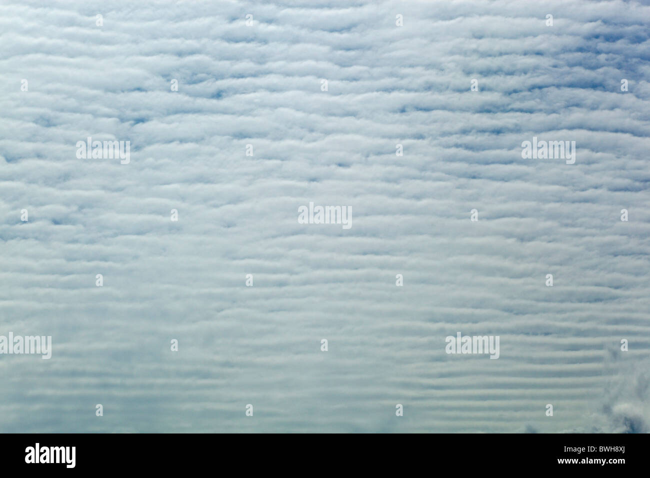 Cirrocumulus, Altocumulus, cumulus, cirrus, high-altitude clouds, Yukon ...