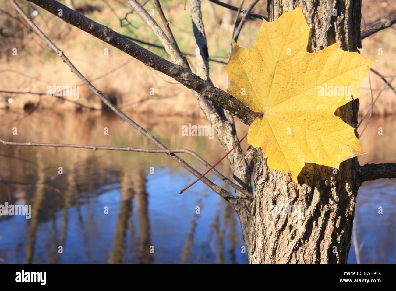End of Autumn Stock Photo - Alamy