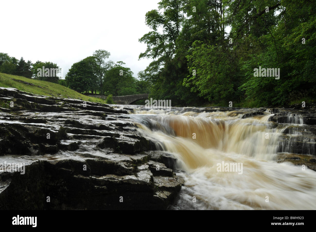 Full force nature hi-res stock photography and images - Alamy