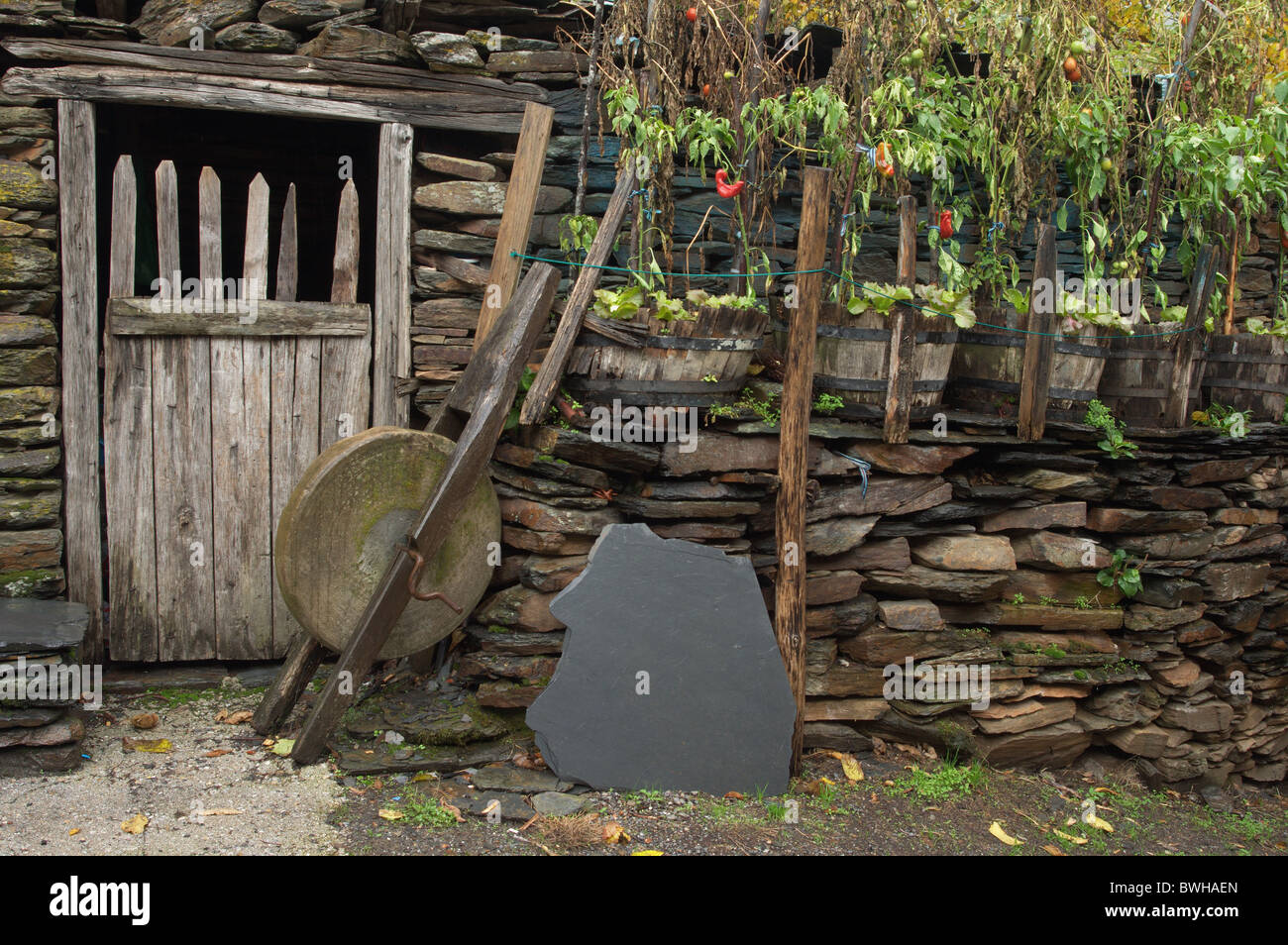 Galicia agriculture hi-res stock photography and images - Alamy